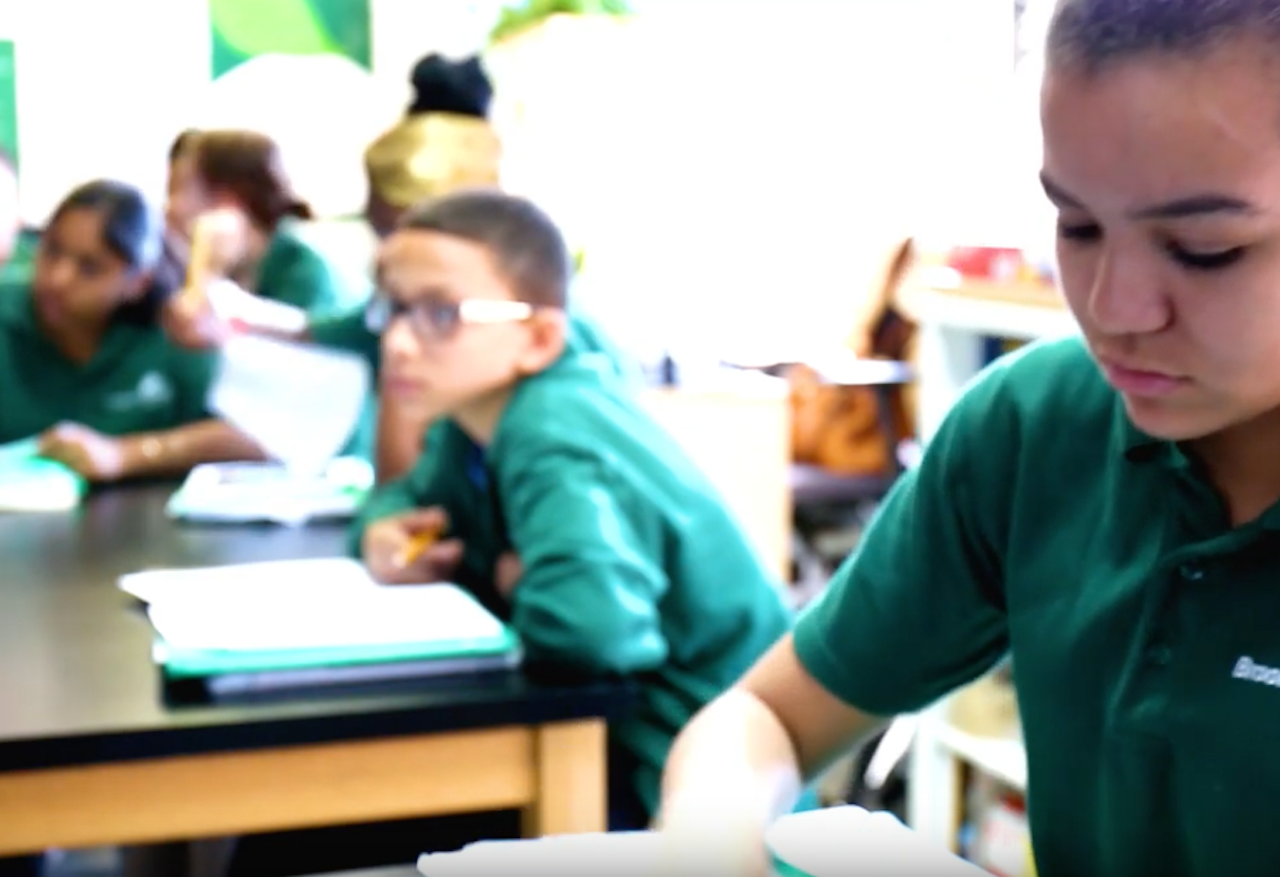 Strategies for Promoting Integrated Classrooms within a School