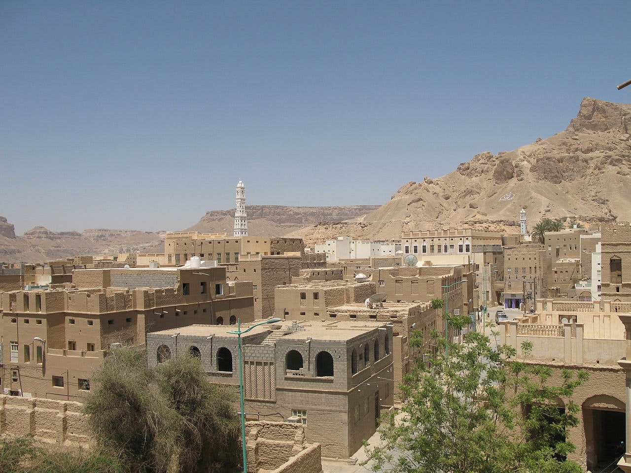 The Case of Hadhramaut: Can Local Efforts Transcend Wartime Divides in ...